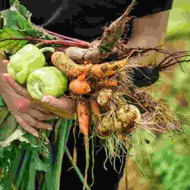 Back to Basics Natural Foods - Natural Grocer RI