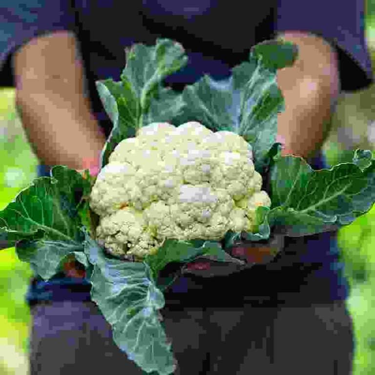 About Us - Back to Basics Natural Foods - Natural Grocer RI