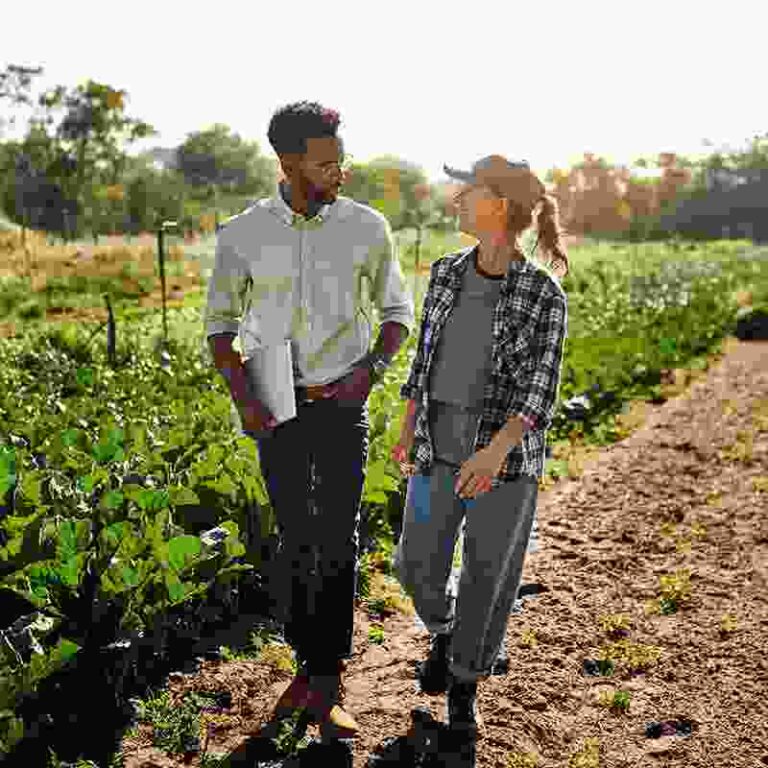 Back to Basics Natural Foods - Natural Grocer RI