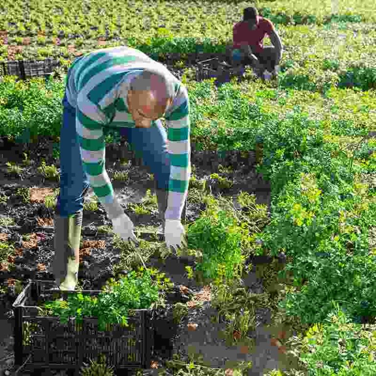 Back to Basics Natural Foods - Natural Grocer RI