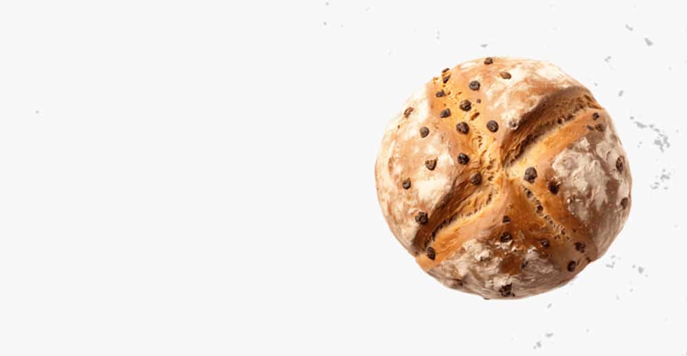 Back to Basics Natural Foods - Natural Grocer RI